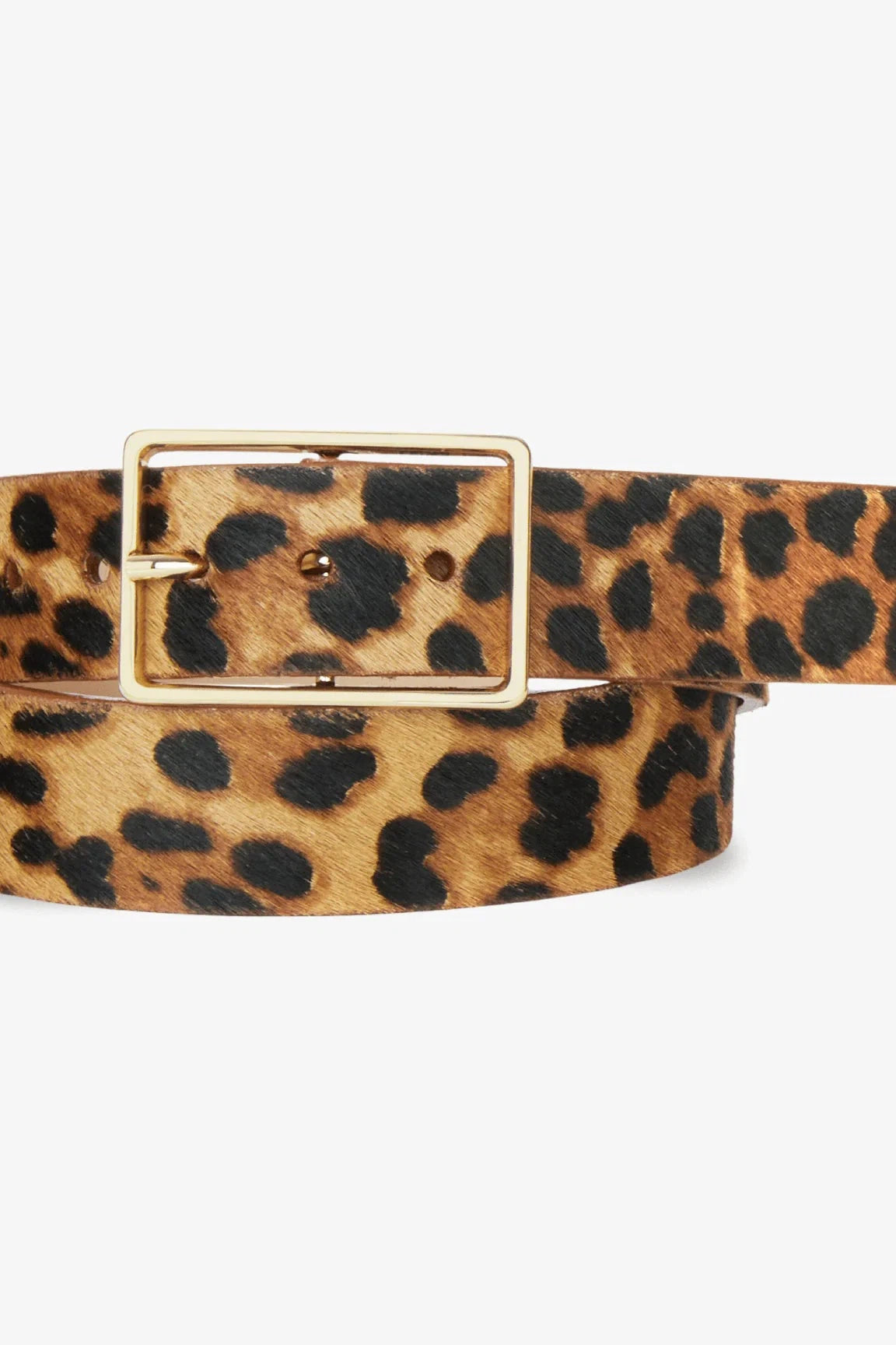 Caloe Belt in Persian Leopard - Brave Leather – Tocca Finita
